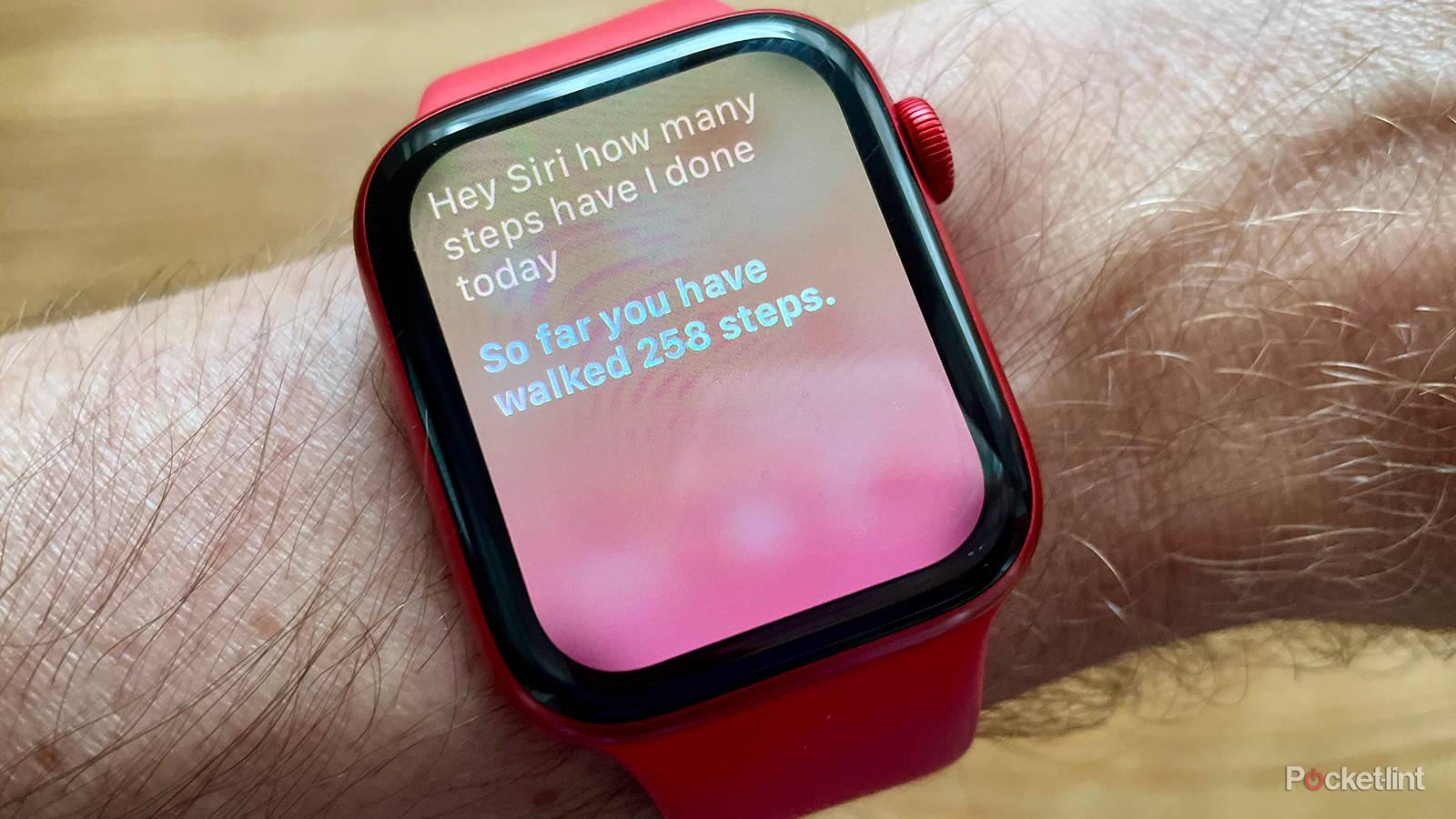 This clever hack will give you Siri access to health data on the Watch ...