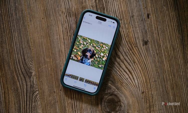 Portrait photos on iPhone 15: Transform a regular photo into a portrait ...