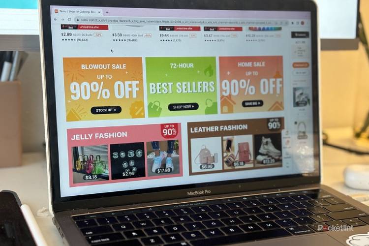 Temu vs. Wish: Is cheaper really better?