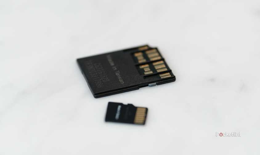 Don't throw your old SD cards in the trash - do these 5 things instead