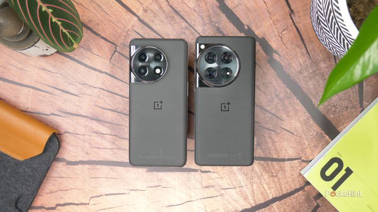 OnePlus 12 review