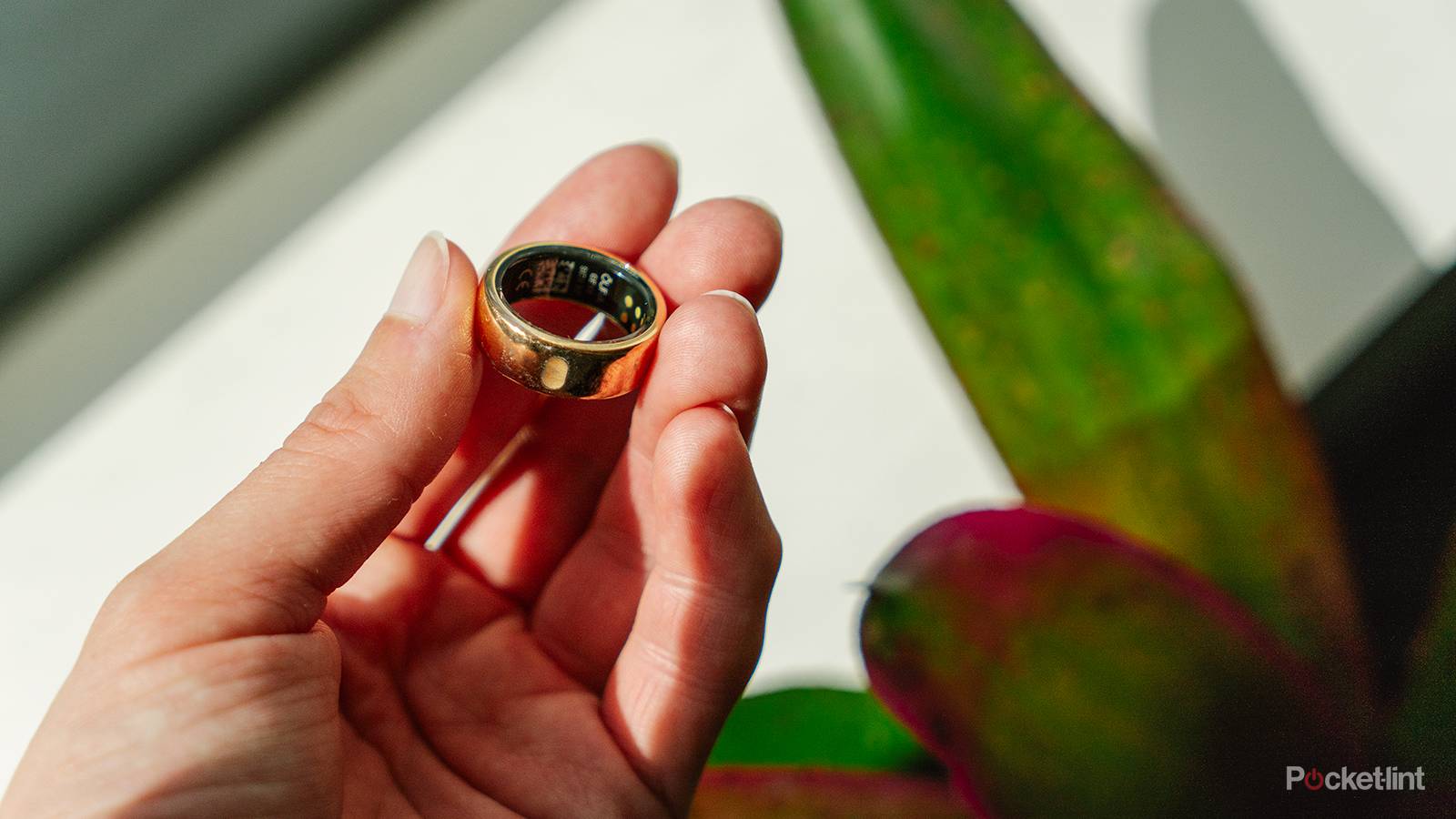 How a team of women turned the Oura Ring into an essential female ...