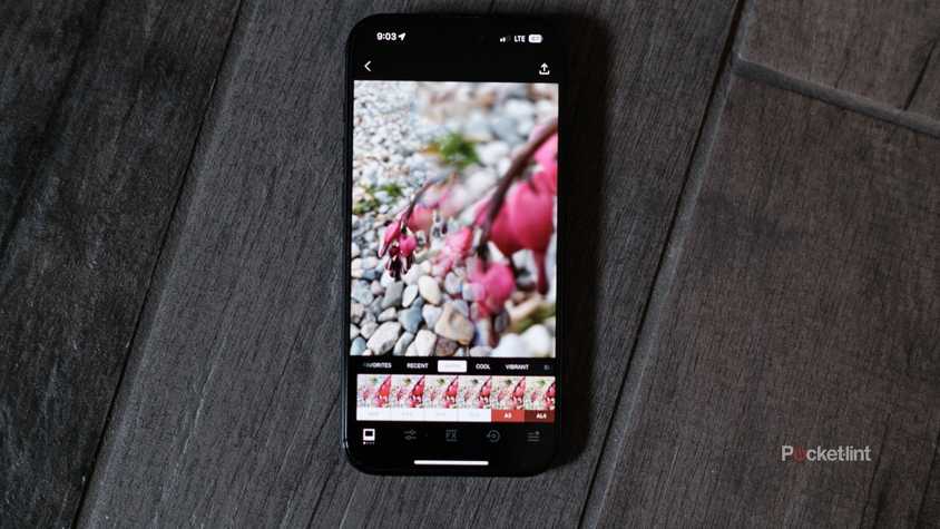 6 easy fixes for washed out iPhone 15 photos