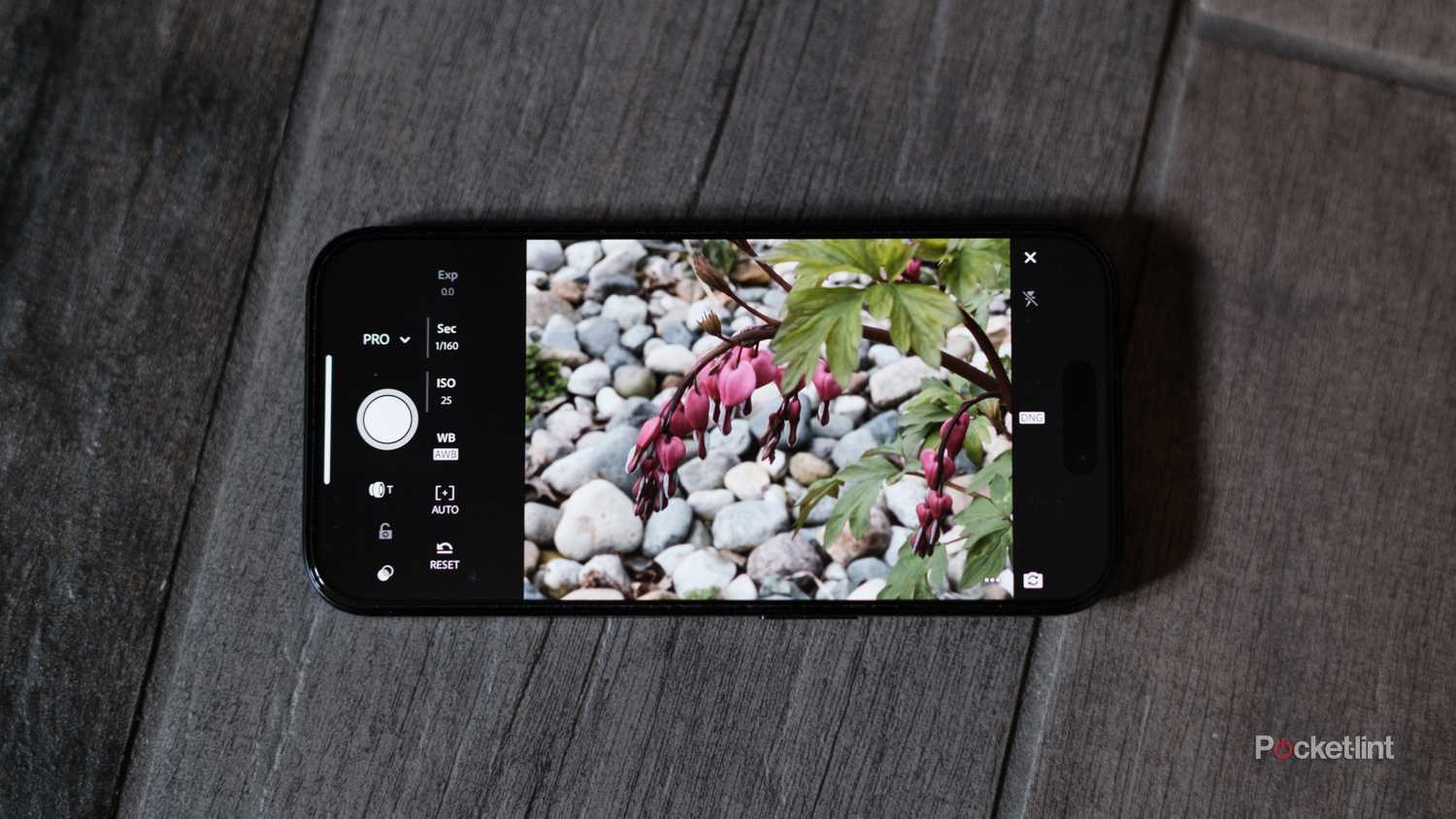 The best iPhone camera apps