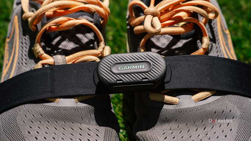 What is Endurance Score on a Garmin Watch?