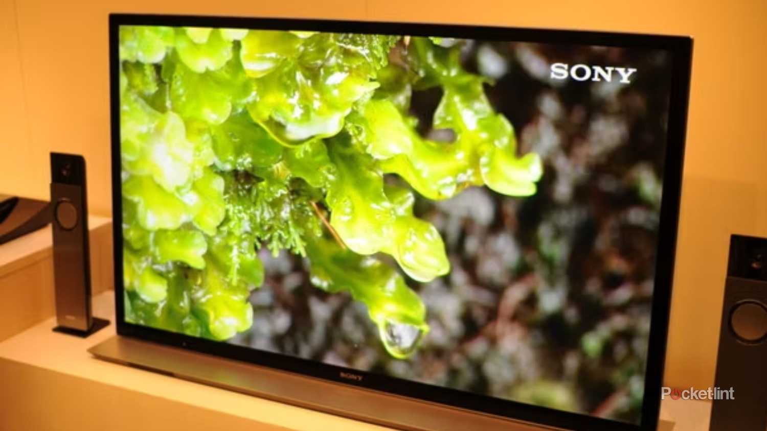 7 features every Sony TV user should use