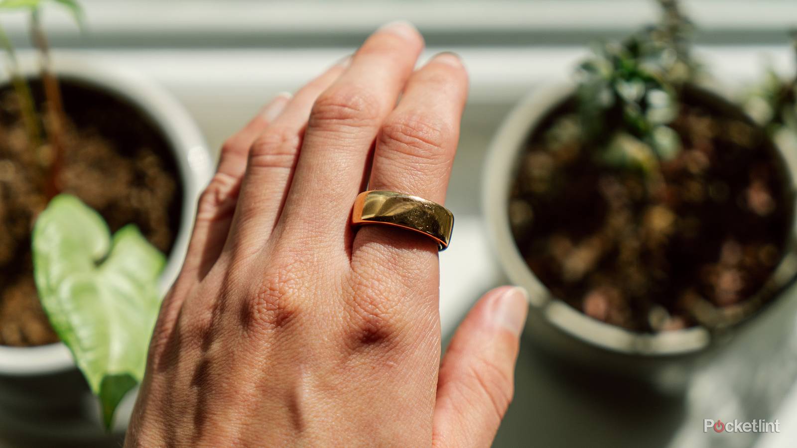 6 things to consider before buying a smart ring
