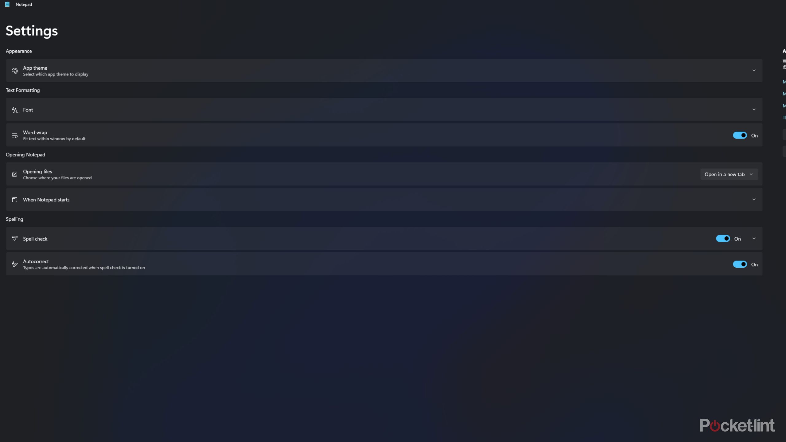 40 years later, Microsoft Notepad features spellcheck.