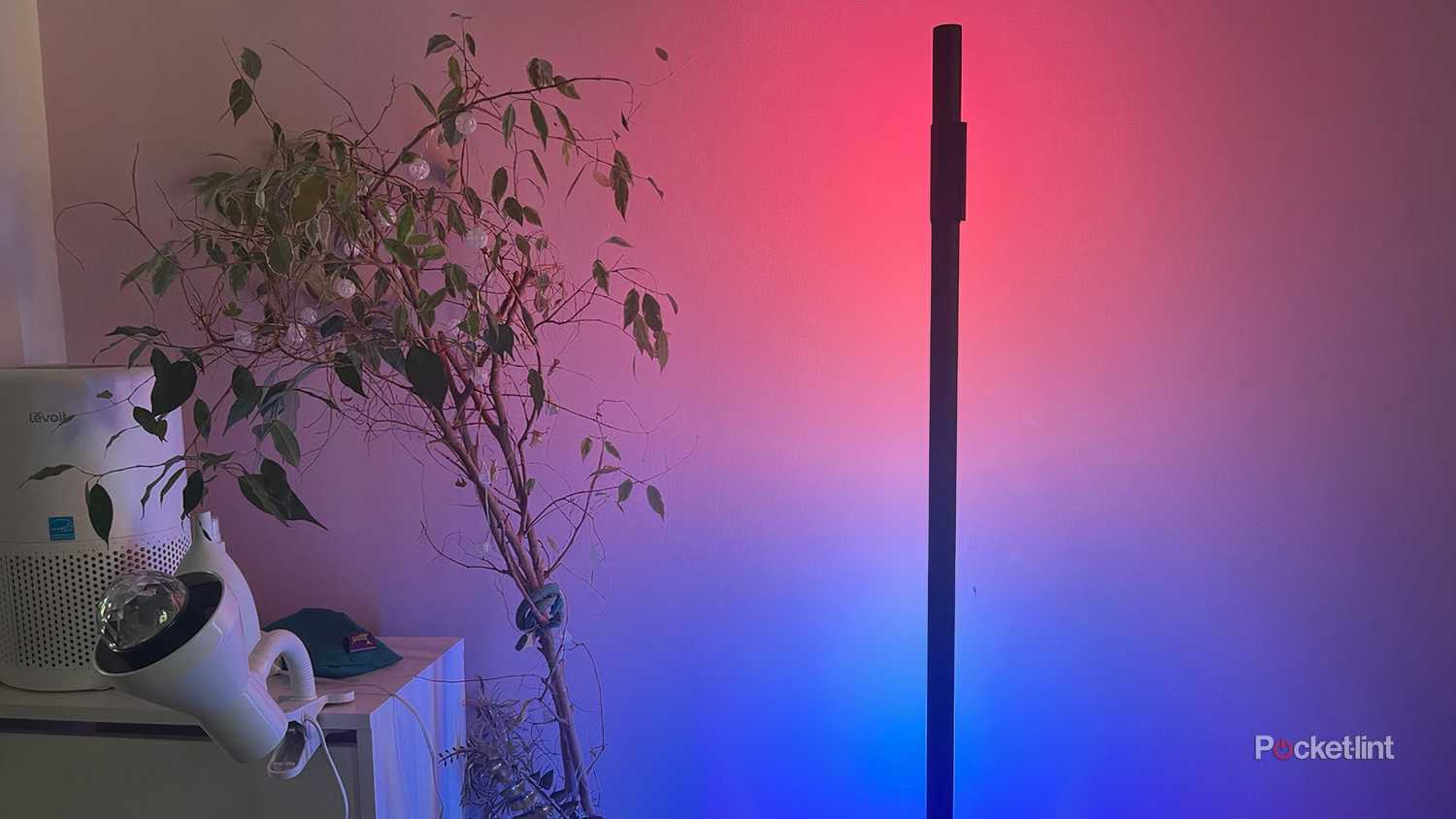 Making these 4 easy lighting changes drastically improved my TV ...
