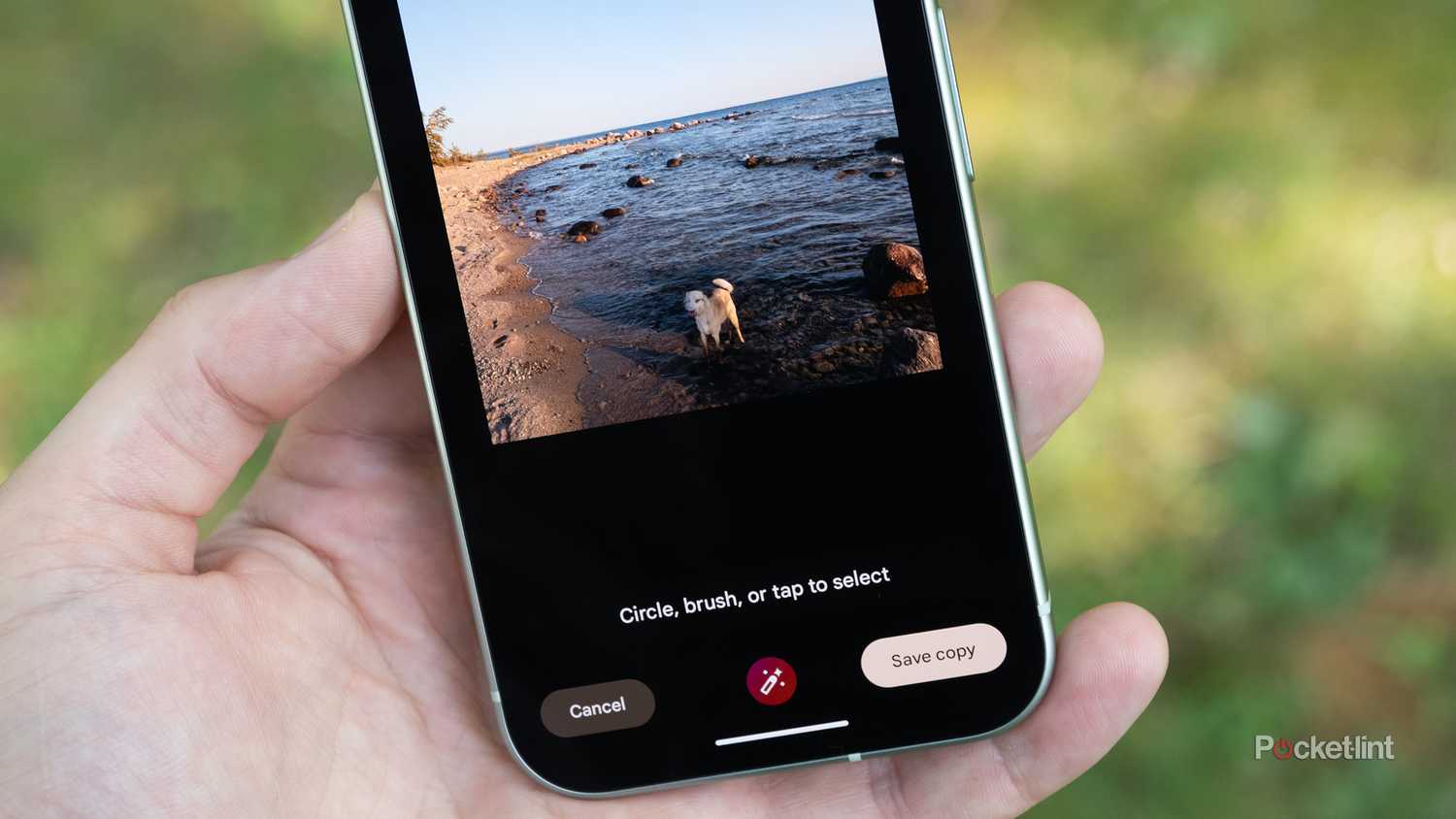 Is your iPhone better than a Pixel?