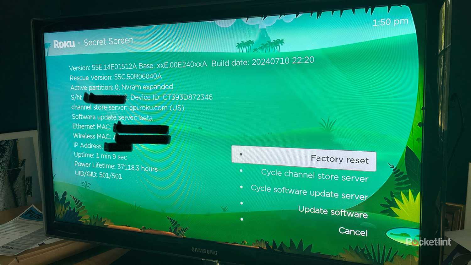 What are Roku secret screens and what can you do with them