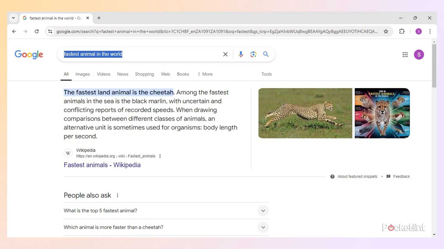 I took Chrome and Edge for a spin, and one came out miles ahead