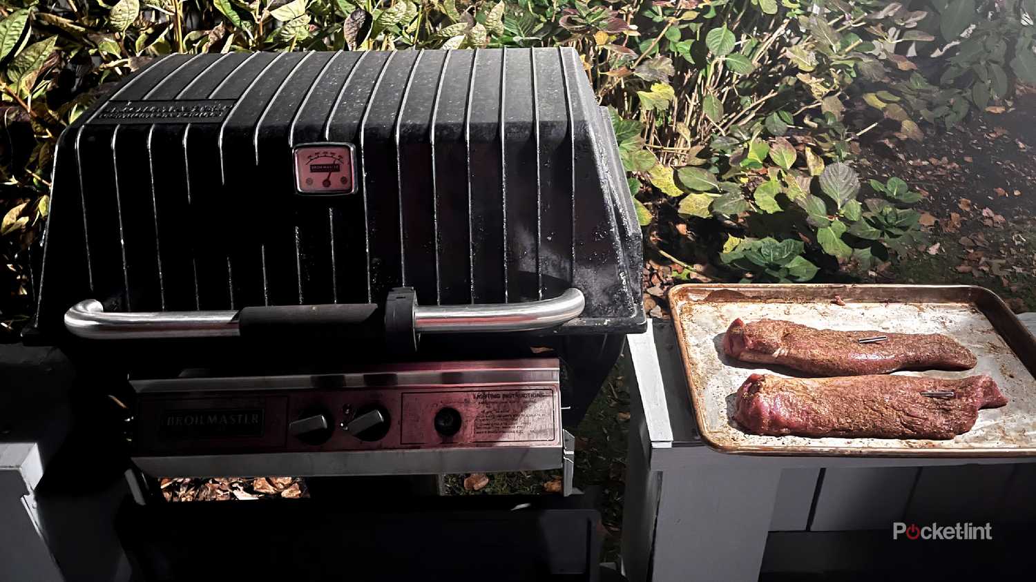 Don't overcook your meats with the help of the ThermoWorks RFX probe