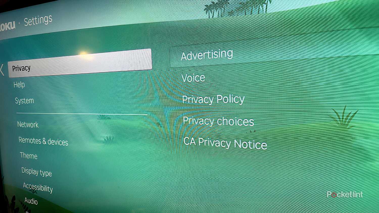 How to use the Roku privacy settings