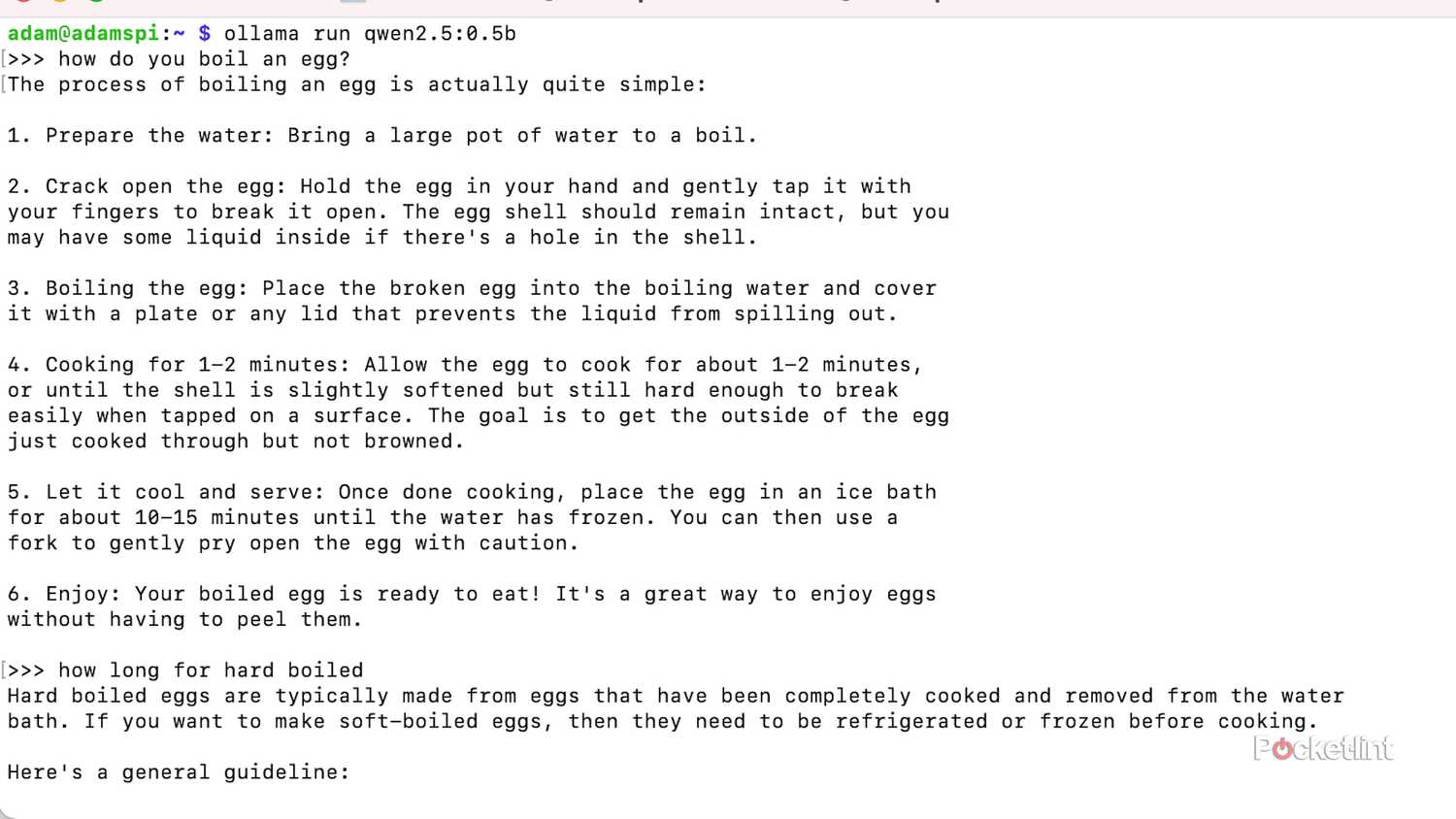 How I run a local LLM on my Raspberry Pi